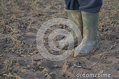 Muddy Wellies Stock Images - Image: 1919784