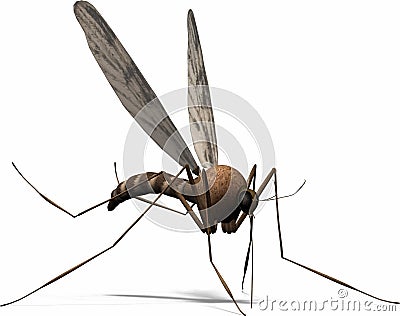 Muggy Stock Image | CartoonDealer.com #693601