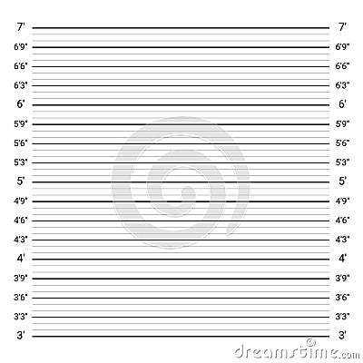 Mugshot Background. Police Wall With Height Measuring Scale Vector ...