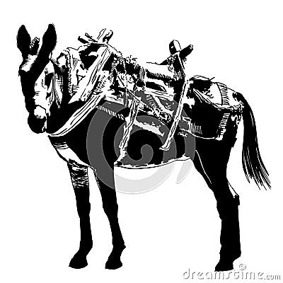Mule Vector Eps Illustration By Crafteroks | CartoonDealer.com #146404623