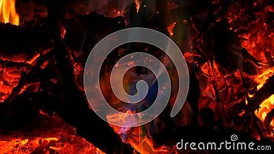 Multi-colored Fire on Burning Wood in Dark Stock Video - Video of ...