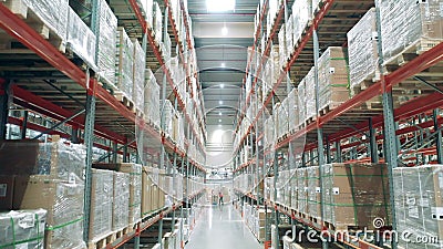 Multiple Boxes Stored on the Shelves of the Warehouse Stock Footage ...
