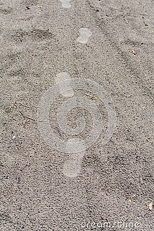 Multiple Footprints On Wet Sand After Rain. Footprints In The Wet Sand ...