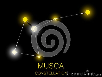 Musca Constellation. Bright Yellow Stars In The Night Sky. A Cluster Of ...