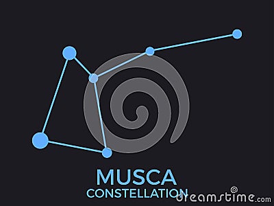 Musca Constellation. Stars In The Night Sky. Cluster Of Stars And ...
