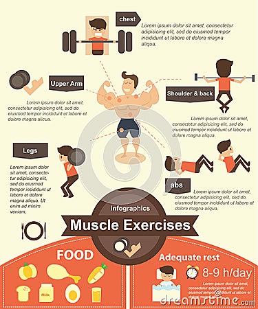 Muscle Exercises Infographics Royalty-Free Stock Image | CartoonDealer ...