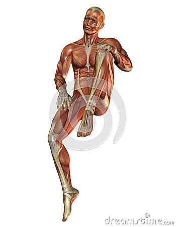 Muscle Man In A Sitting Posture Royalty-Free Stock Image ...