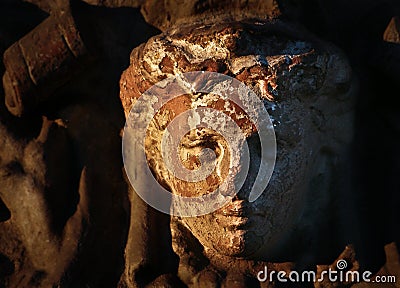 The muse - Stock Image - Everypixel