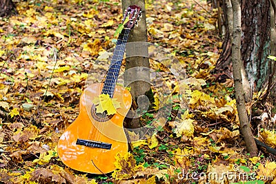 Music Guitar In Autumn Leaves Forest Background Stock Image - Image ...