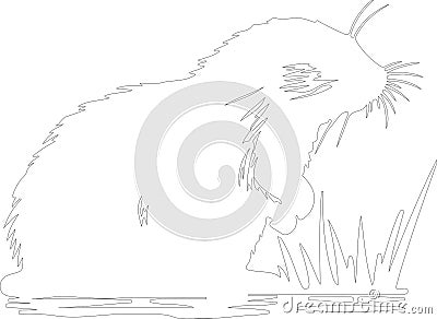 Muskrat Outline Silhouette Generative Ai Vector Illustration ...