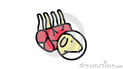 Mutton Meat Color Icon Animation Stock Video - Video of line, lined ...