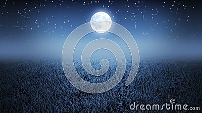 Big moon and grass stock video footage. Video of surface - 35209832