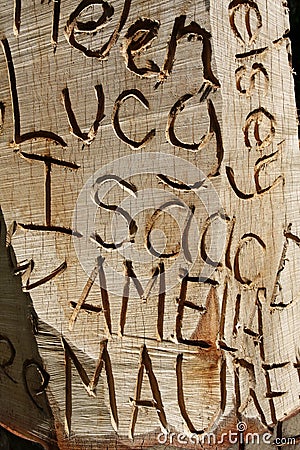 Names Carved Into Wood Stock Photo - Image: 42328477