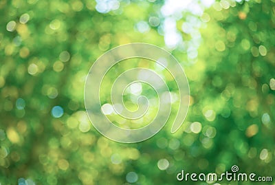 Natural Greenery Texture Royalty-Free Stock Image | CartoonDealer.com ...
