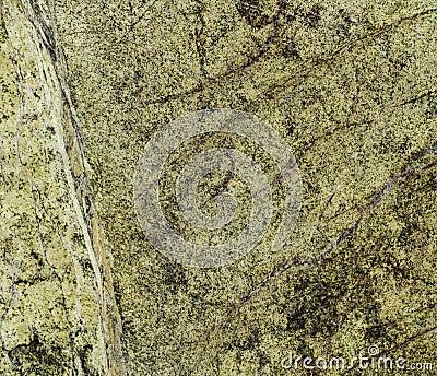 Natural Rainforest Green Marble Texture Stock Photo | CartoonDealer.com ...