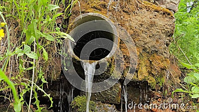 Natural Spring. Spring Water Flows from a Pipe in a Stone Wall in ...