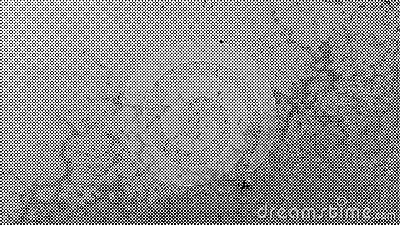 Natural Subtle Halftone Vector Texture Overlay With Fracture Effect ...