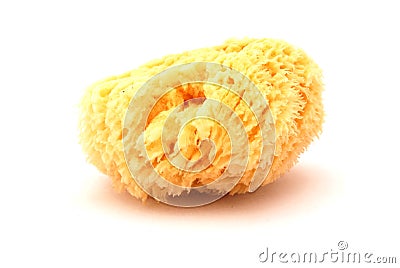 Natural Wild Sponge Stock Photography | CartoonDealer.com #4313330