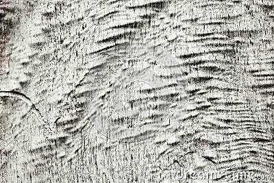 Natural Wood Texture - Coarse Surface Of Barkless Tree Trunk Royalty ...