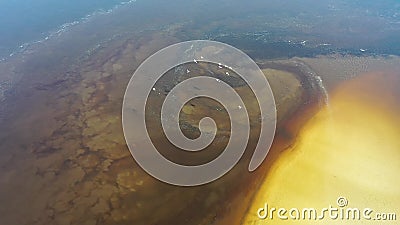 Amazon River Scene Landscape. Scenic Amazon Rainforest Natural Forest ...