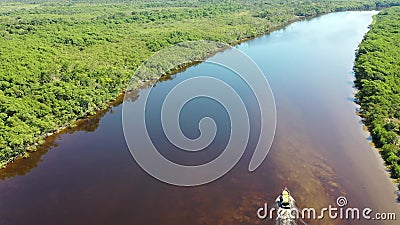 Nature Landscape of Amazon Rainforest. Amazon River Scenery Stock ...