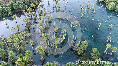 Nature Landscape of Amazon Rainforest. Amazon River Scenery Stock ...