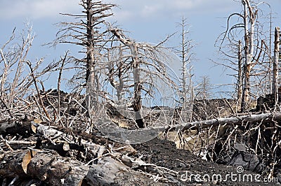 Natuurramp Royalty-vrije Stock Afbeelding - Afbeelding: 13794946