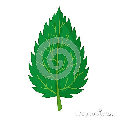 Nettle Leaf Icon, Cartoon Style Vector Illustration | CartoonDealer.com ...