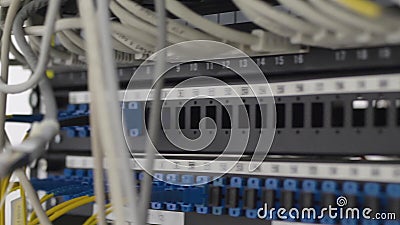 Network Server Room, Panel, Switch And Patch Cord Cable For Servers ...
