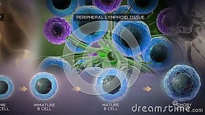 Neuron Brain Cell. 3D Render Loop Animation with Transparency Stock ...