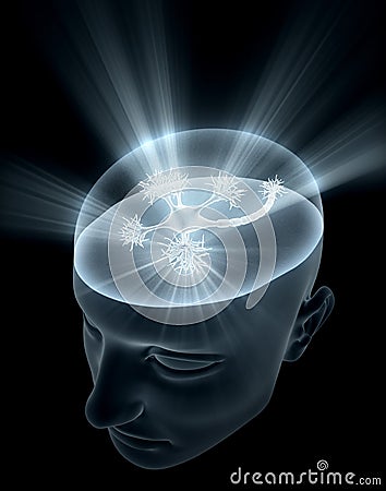 Neuron Head Stock Photo - Image: 6769180