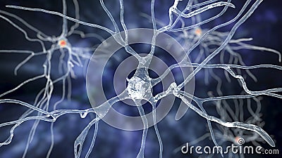 Neurons, Brain Cells, Located In The Frontal Lobe Of The Human Brain ...