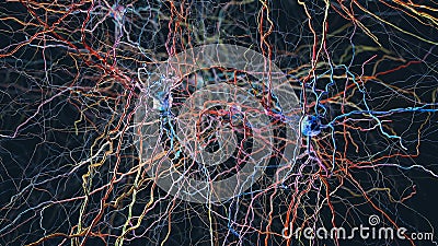 Neurons Or Nerve Cells Connected In Neuronal Network Royalty-Free ...