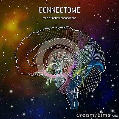 Neuroscience Infographic On Space Background. Brain Cells Connectome ...