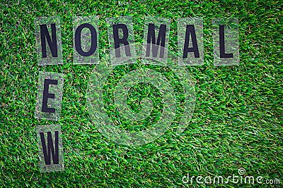NEW NORMAL Word On The Green Grass Stock Image | CartoonDealer.com ...