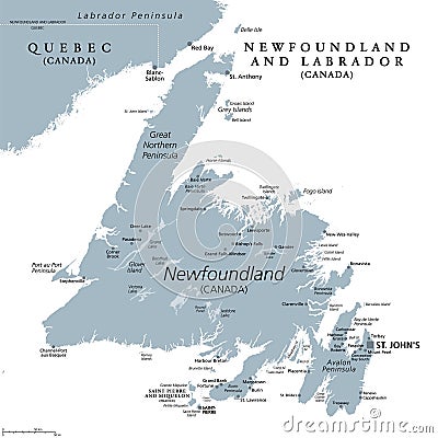 Island Of Newfoundland, Gray Political Map, Newfoundland And Labrador ...