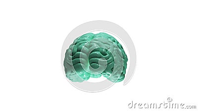 Nice Looking 3d Animated Brain. Includes Alpha Channel Looped. Stock ...