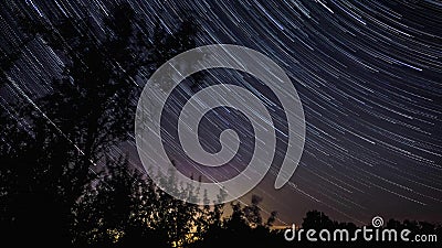Night sky timelapse stock video. Video of clear, forest - 112323521