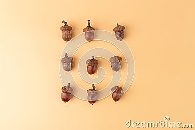 Nine Brown Acorns With Caps Arranged In A Grid Pattern On A Light ...