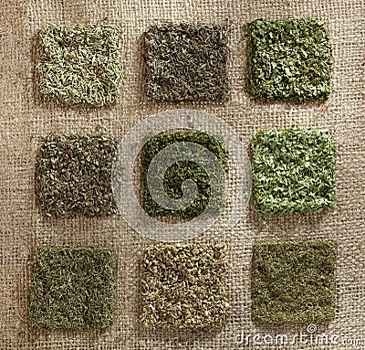 Mint hessian 2 stock photo. Image of leaf, green, ingredient - 54256530