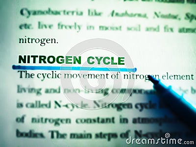 Nitrogen Cycle System Displaying On Text Form Paper Sheet Stock ...
