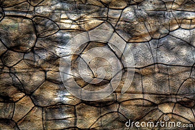 Nodules Of Polystyrene Under The Microscope Royalty-Free Stock Photo ...