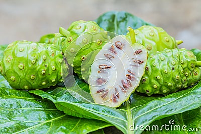 Noni stock photo. Image of noni, indian, white, ingredient - 77931480