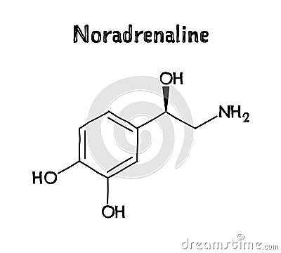 Noradrenaline Structural Formula Of Molecular Structure Stock ...