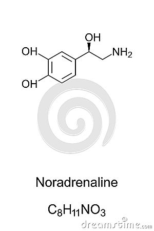 Noradrenaline Molecule, Norepinephrine Skeletal Formula Cartoon Vector ...