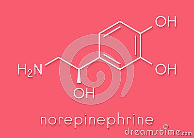 Norepinephrine Noradrenaline, Norepi Hormone And Neurotransmitter ...