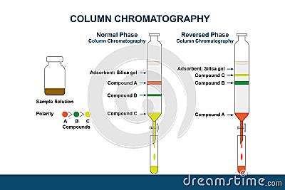 Normal Phase And Reversed-Phase Column Chromatography Royalty-Free ...