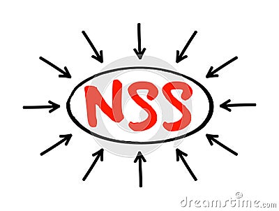 NSS - Network Security Services Acronym Text With Arrows, Technology ...