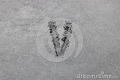 Nu Sign. Nu Letter, Greek Alphabet Symbol Stock Image | CartoonDealer ...