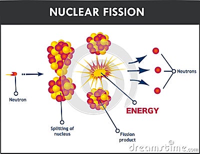 Nuclear Fission Process Vector Illustration | CartoonDealer.com #116067542